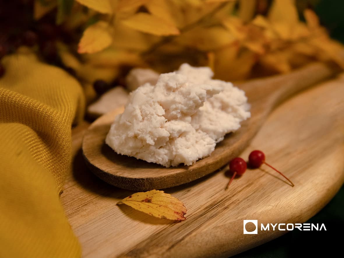 Mycorena sammelt 24 Millionen Euro in der Serie A für die ...