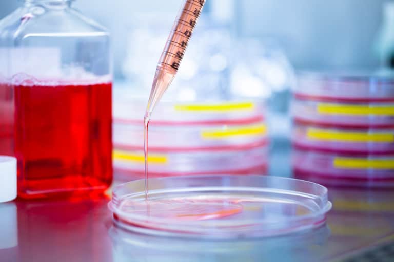 Im Interview mit Kaesler Nutrition: „Wir wollen in Zukunft nicht nur kostengünstiges und ...