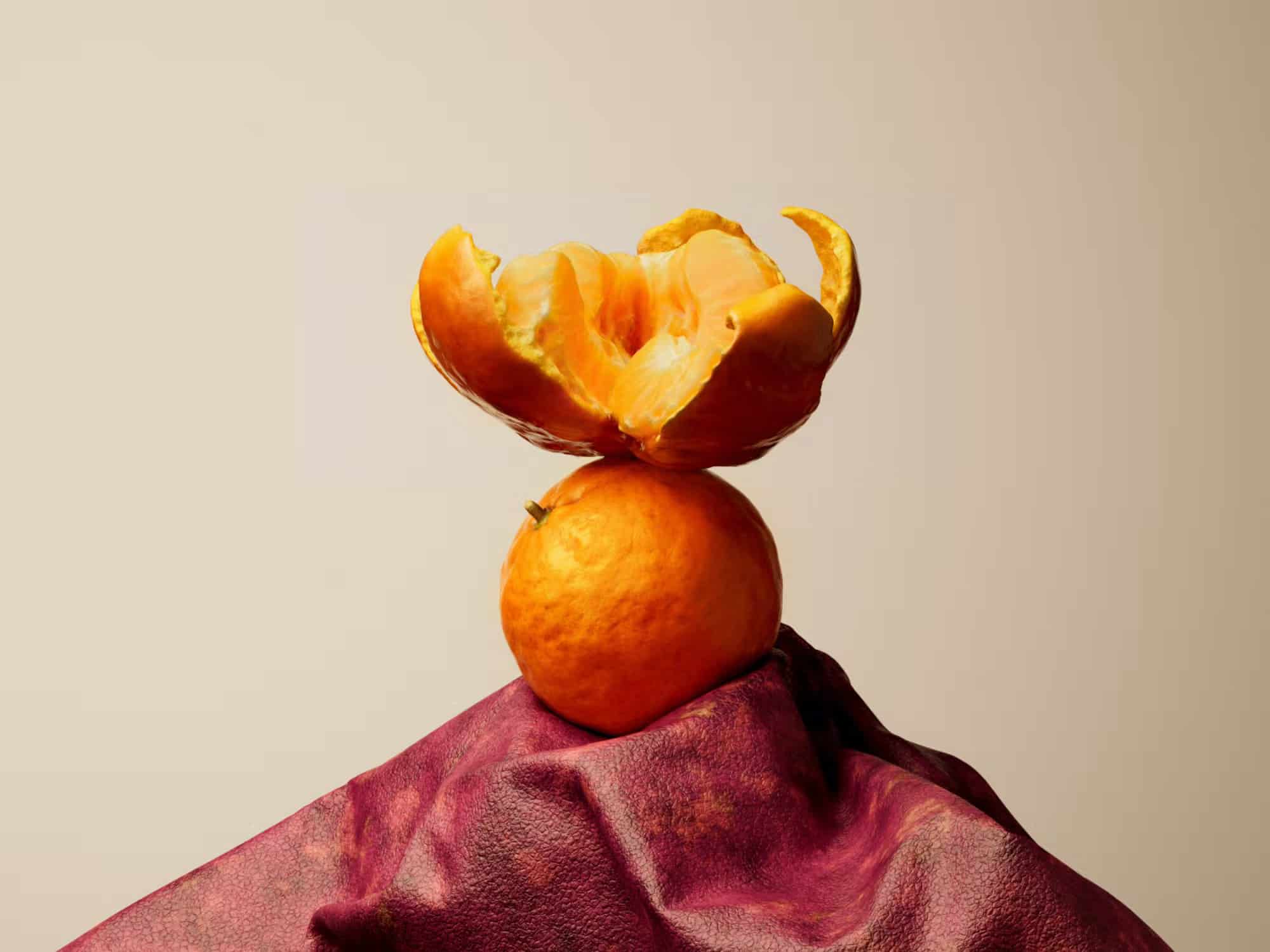 Polybion eröffnet nach erfolgreicher Investmentrunde die weltweit erste ...