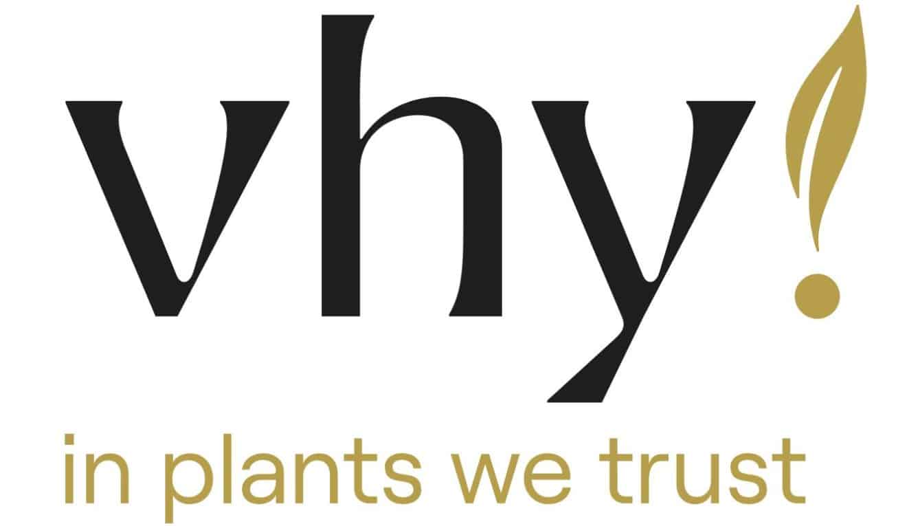 vhy!: Neues veganes Restaurant von Timo Hildebrand und Tim Bengel ...